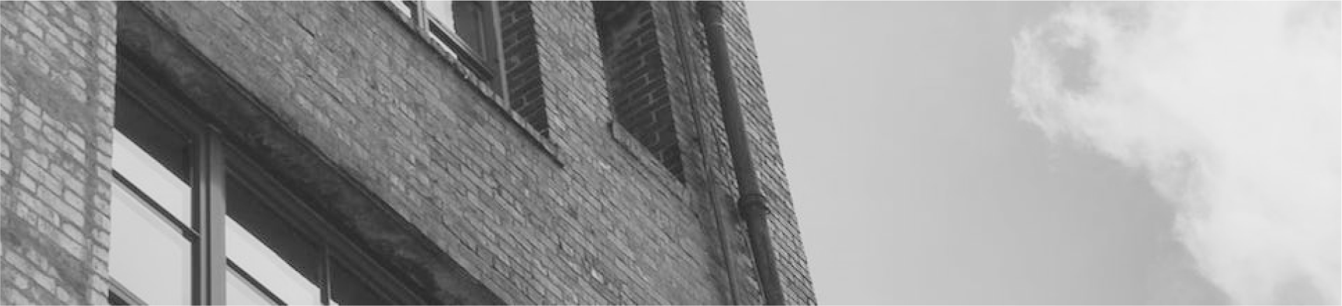 Pilot Dogs Names ﻿Jim Alloway As New Executive Director | Benefactor Group