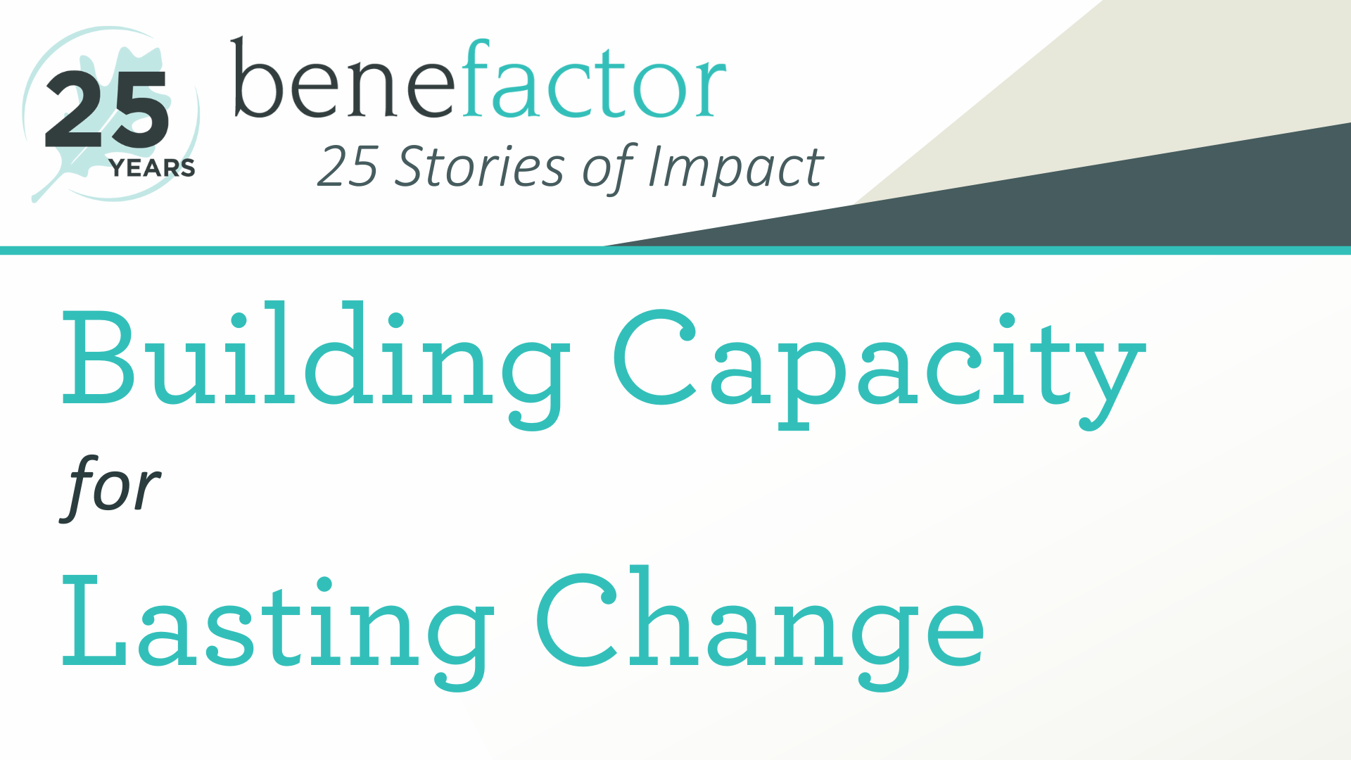 25 Stories of Impact: Building Capacity for Lasting Change | Benefactor ...